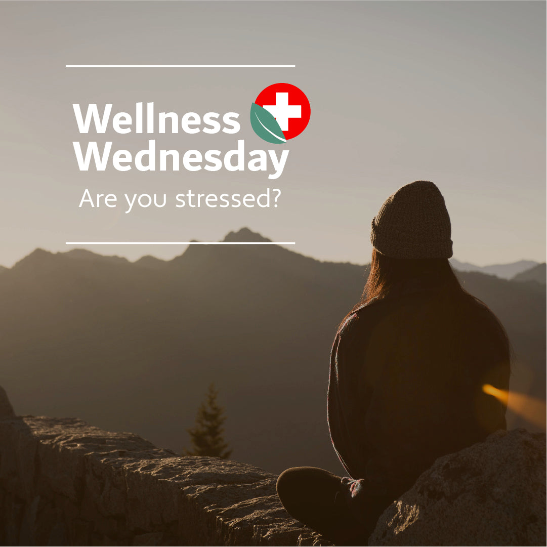 Wellness Wednesday - Are You Stressed? – Haelan Products Inc.